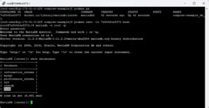 What Is Podman Explore This Docker Alternative