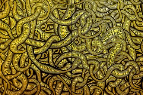 Sex Obsession Acrylic On Canvas Painting By Yayoi Kusama Flickr