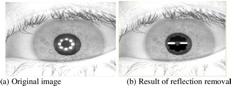 figure 8 from new corneal reflection removal method used in iris