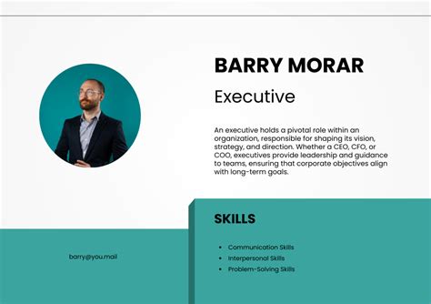 Free Executive CV Templates To Edit Online And Download