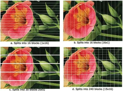 Splitting In Arbitrary Sized Blocks Download Scientific Diagram