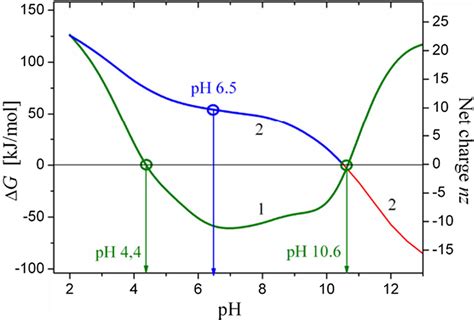Computed Ph Dependences Of The Electrostatic Component Of The Gibbs Download Scientific Diagram