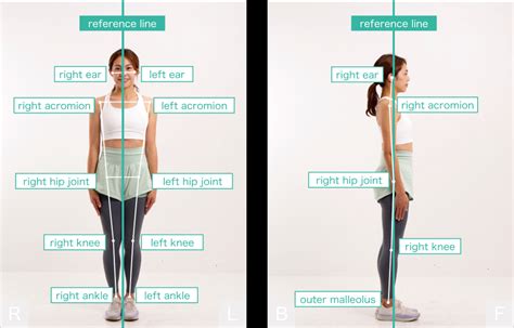 AI Posture Analysis App BODY Alignment