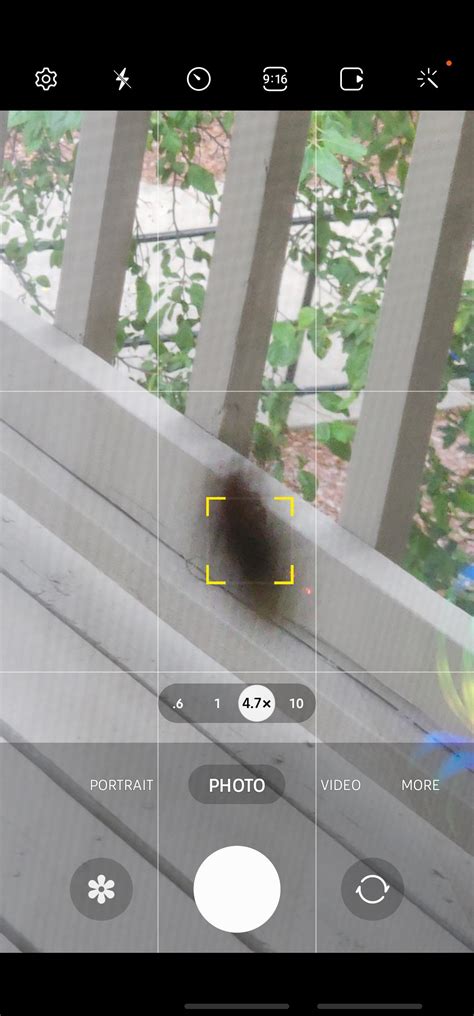 My Phone S Camera Won T Focus On The Bug It Can Very Clearly Tell Is