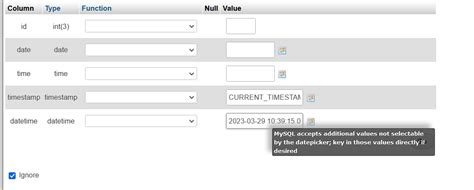 Tooltip Is Not Present For Datetime And Timestamp Fields · Issue 17910