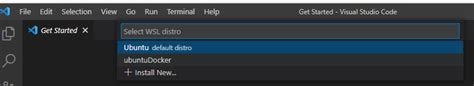 Wsl2 Use Docker With Vscode Without Docker Desktop Windows 11