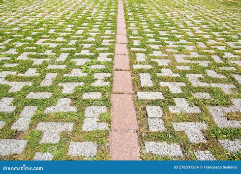 Permeable Pavers Stock Image 23352175