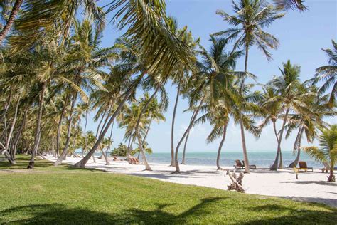 The 17 Best Things To Do In Islamorada Florida