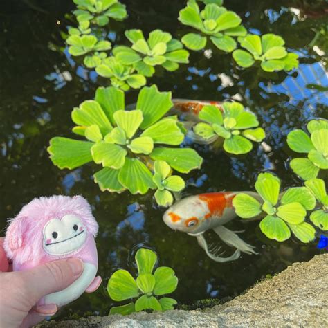 I Settled On The Fringe And Some Reorg I Felt Like I Needed To Post An Update With All The