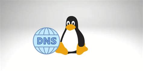 如何在Ubuntu 安装dig myfreax