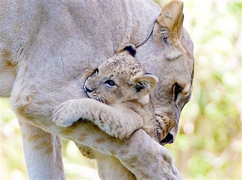 十张感人的母爱图片 2023感人的母爱图片大全配图网