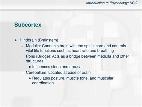 PPT Chapter Brain And Behavior PowerPoint Presentation Free Download ID