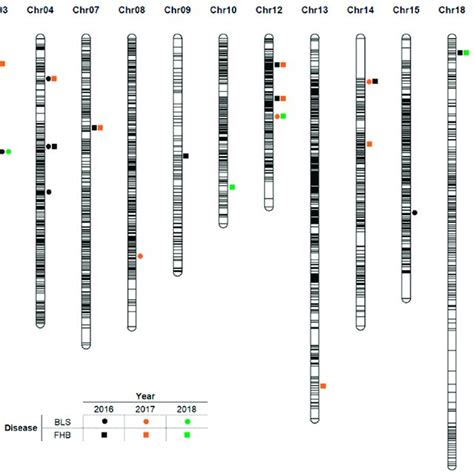 Distribution Of Discovered Quantitative Trait Loci Qtl On Linkage