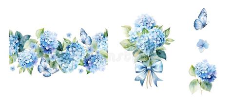 Seamless Borders With Watercolor Blue Hydrangea Set Stock Illustration