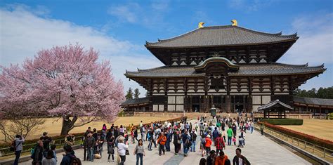 Nara Temples And Shrines 10 Amazing Places You Have To Visit [2020 Guide]