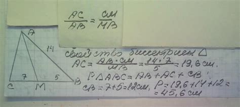 У трикутнику АВС бісектриса АМ ділить сторону ВС на відрізки ВМ 5 см і МС 7 см Знайдіть