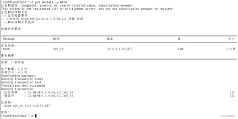 dns服务器配置 dns的named localhost文件配置 csdn博客