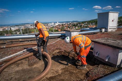 Groupe Tapir Projet Réalisation Agence Qui Plus Est