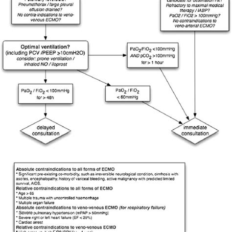 Position Of Ecmo Console Strapped To The Floor Of The Helicopter
