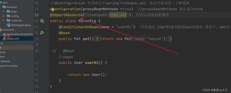 Springboot容器功能 Csdn博客