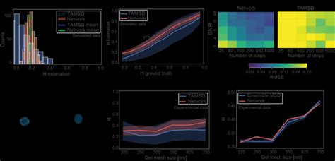 Hurst Exponent H Estimation Network A Comparison To Time Averaged