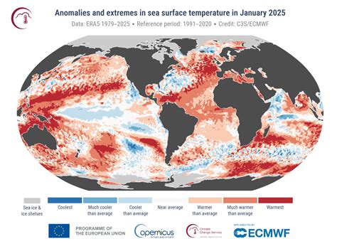 Surface Air Temperature For January 2025 Copernicus