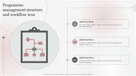 Programme Management Structure And Workflow Icon Ppt Sample
