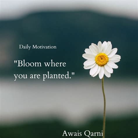 Awais Qarni On Linkedin Dailyquotes Motivation Opentowork