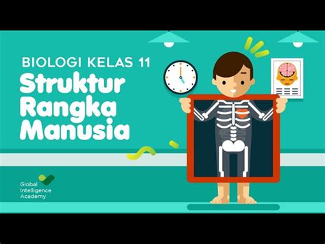 Understanding The Human Skeletal System Structure And Function Galaxy Ai