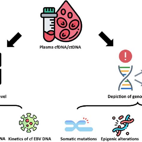 Application Of Cfdnactdna Icons Made By Flaticon Flati Con Download Scientific Diagram