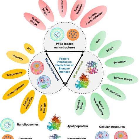 Major Interacting Components And Factors Influencing Interactions Of Download Scientific