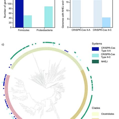 Negative Association Between Nhej And Type Ii A Crispr Cas Systems A