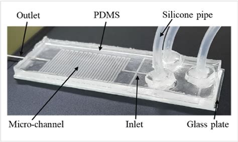 Figure 1 From Silver Based Sers Substrates Fabricated Using A 3d