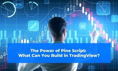 Create Or Debug Custom Pine Script Indicators And Strategies For Tradingview By Evelynmorgan1me