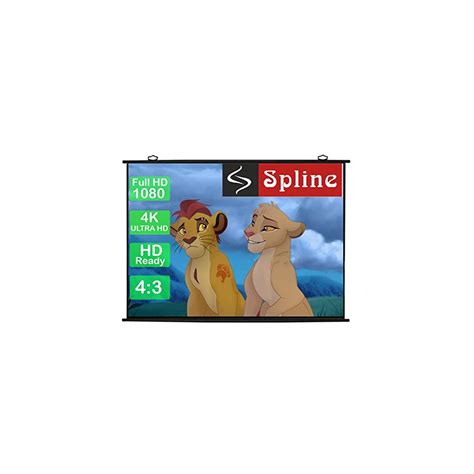 Spline Map Type Projector Screen 8 Feet W X 6 Feet H 120 Inch