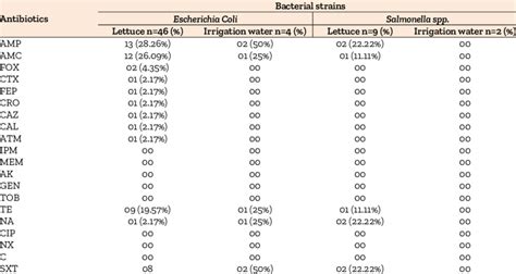 Antibiogram Of Strains Of Escherichia Coli And Salmonella Enterica Spp Download Scientific
