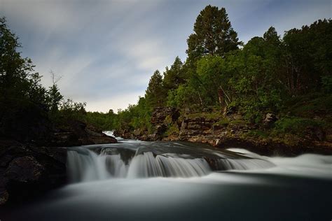 Malte Johansson Naturfotograf Part Fotografering Och Fotokonst