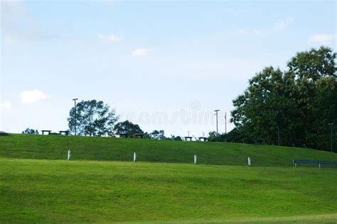 Structured Garden Trees And Lawn Stock Image Image Of Structured