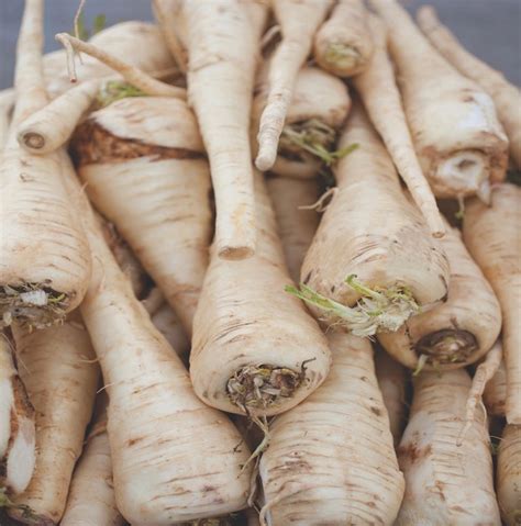 25g Parsnip Hollow Crown Spencers Garden Centre