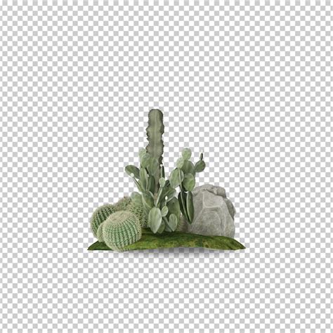 Premium Psd Tropical Plant And Tree Mockup Premium Psd Tropical Plant And Tree Mockup