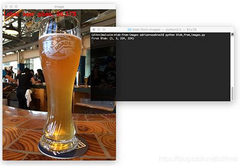 深度学习：opencv的blobfromimage是如何工作的 Csdn博客