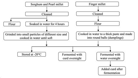 Sample Preparation Flow Chart Download Scientific Diagram