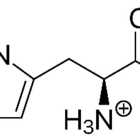 Histidine Structure Histidine His Contains An α Amino Group A