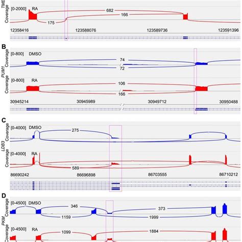 Sashimi Plot Shows The Alternative Splicing Of Maturation Related Download Scientific Diagram