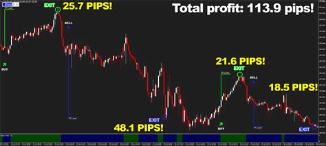 Bizon Scalper Fxcracked