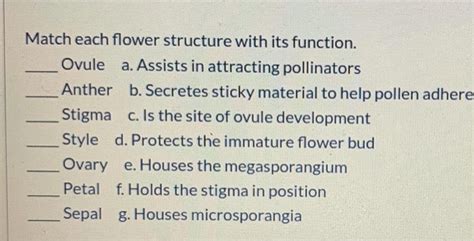 Solved Match Each Flower Structure With Its Function Ovule