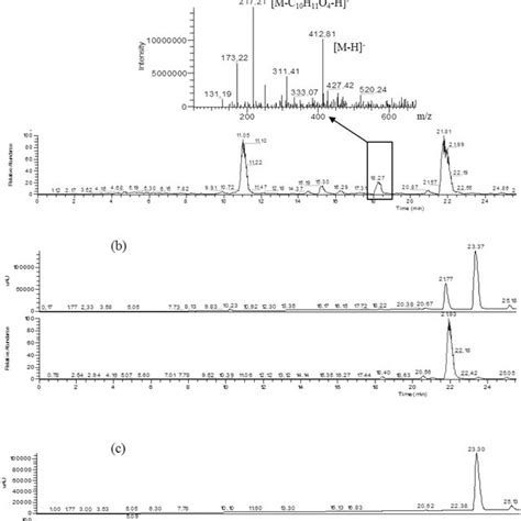 LC MS Analysis Compound 2 Extracted At Rt 19 48 Min Was Detected Download Scientific