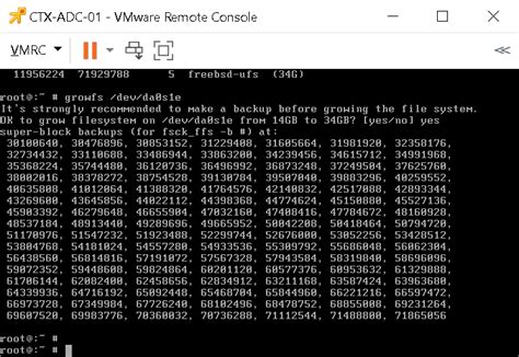 Increase Disk Space On Citrix Adc Vpx