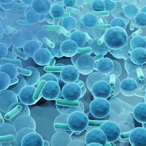 Mark Blaskovich On Linkedin World Antimicrobial Awareness Week