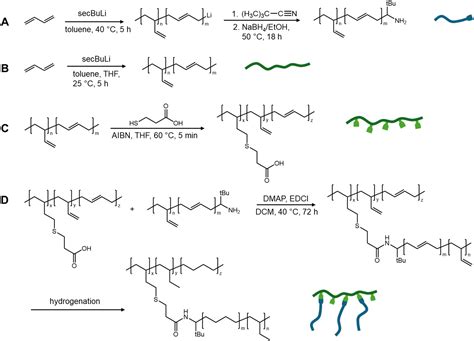 Synthesis Of Butadiene Derived Polyolefin Graft Copolymers And Their